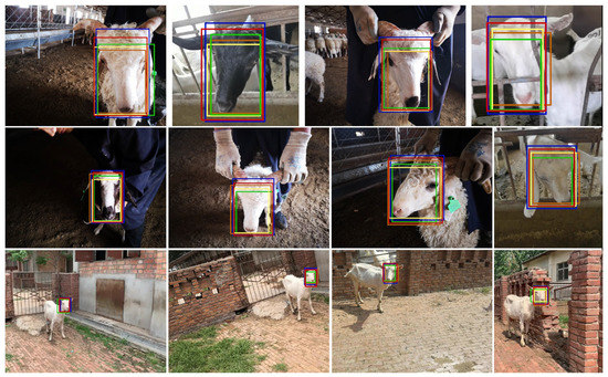 Animals | Free Full-Text | Sheep Face Detection Based on an Improved RetinaFace Algorithm