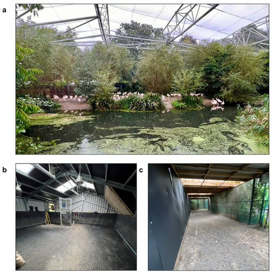 Changes in Environment and Management Practices Improve Foot Health in ...