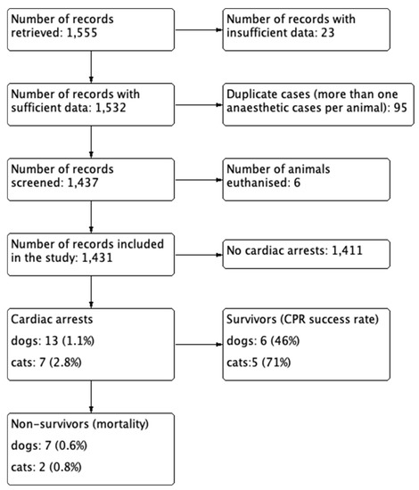 A Retrospective Study on Canine and Feline Mortality during Anaesthesia ...