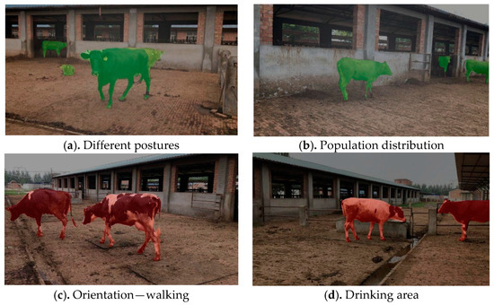 Cattle Target Segmentation Method in Multi-Scenes Using Improved ...