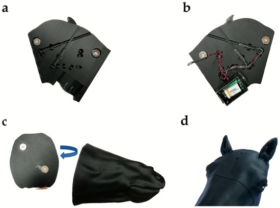 Animals | Free Full-Text | Equine Gunshot Euthanasia: Creation of a 3D ...