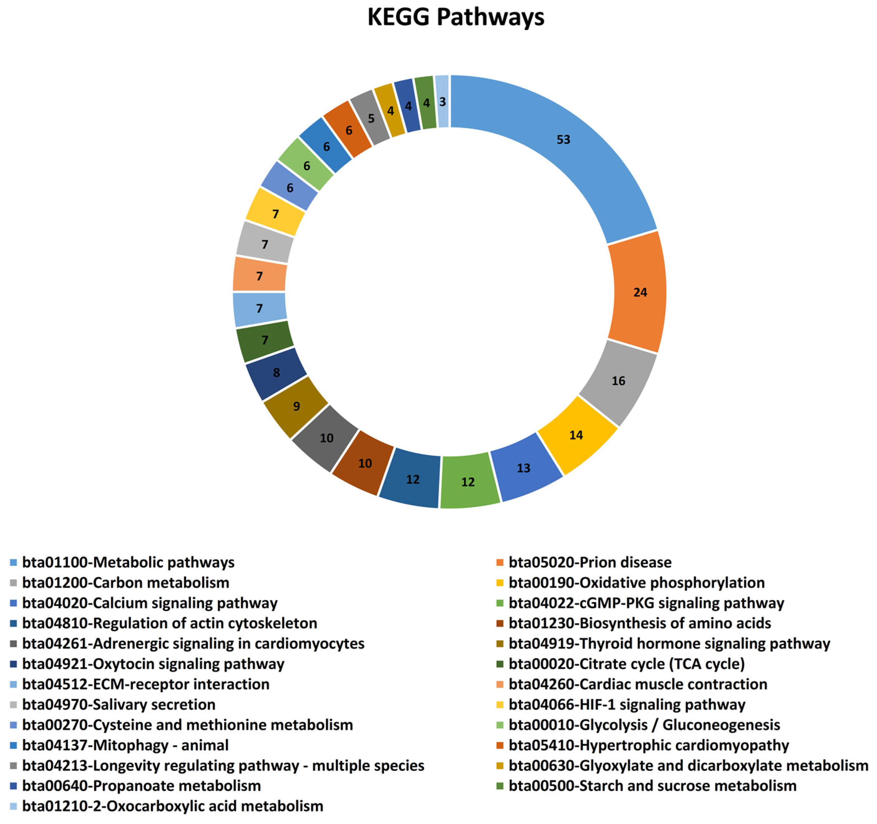 Animals | Free Full-Text | Integrated Comparative Transcriptome and ... Animals | Free Full-Text | Integrated Comparative Transcriptome and ...