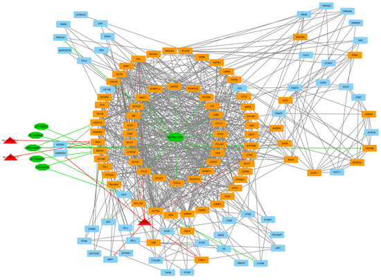 Integrated Comparative Transcriptome and circRNA-lncRNA-miRNA-mRNA ...