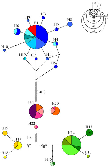 Genetic Structure and Genetic Diversity of the Endemic Korean Aucha ...