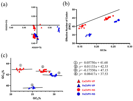 Phylogenetic Analysis and Codon Usage Bias Reveal the Base of Feline ...