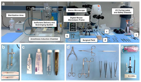 Refining Stereotaxic Neurosurgery Techniques and Welfare Assessment for Long-Term ...