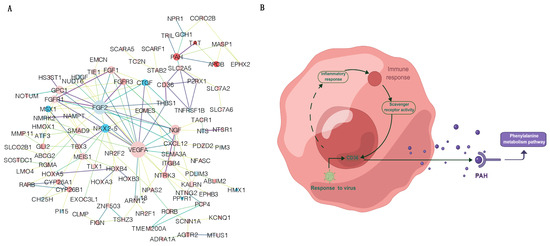 Effects and Mechanisms of Cage versus Floor Rearing System on Goose ...