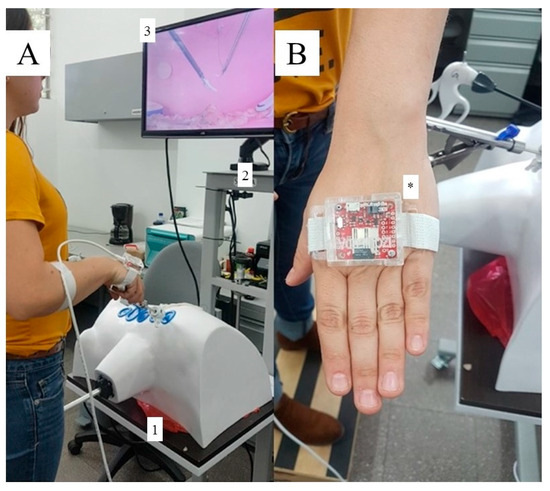Use of a Composed Simulator by Veterinarian Non-Experts in Minimally ...