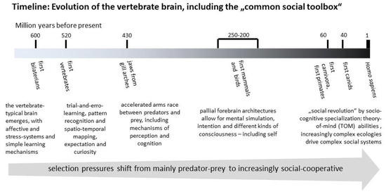 Wolf–Dog–Human: Companionship Based on Common Social Tools