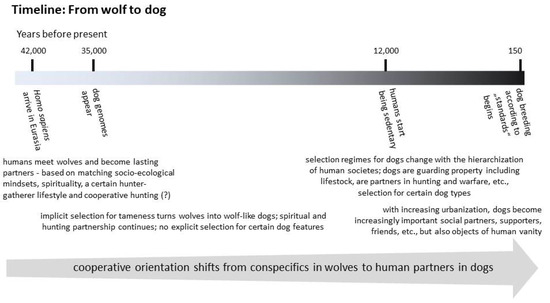 Wolf–Dog–Human: Companionship Based on Common Social Tools