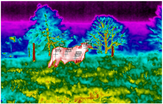 Characterization of Thermal Patterns Using Infrared Thermography and ...