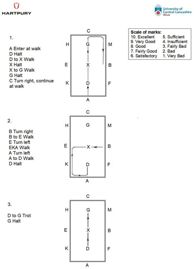Towards an Evidence-Based Classification System for Para Dressage ...