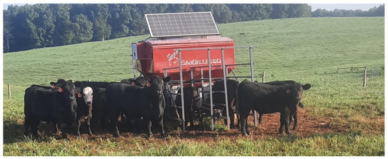 Training and Adaptation of Beef Calves to Precision Supplementation ...