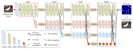 Pose Estimation and Behavior Classification of Jinling White Duck Based on Improved HRNet
