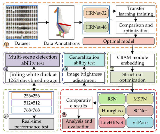 Pose Estimation and Behavior Classification of Jinling White Duck Based on Improved HRNet