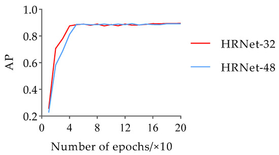Pose Estimation and Behavior Classification of Jinling White Duck Based on Improved HRNet