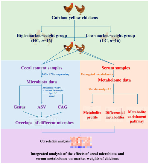 Integrated Analysis of the Effects of Cecal Microbiota and Serum ...