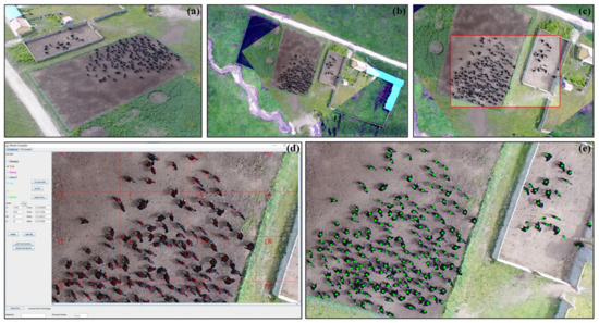 UAV Assisted Livestock Distribution Monitoring and Quantification: A ...