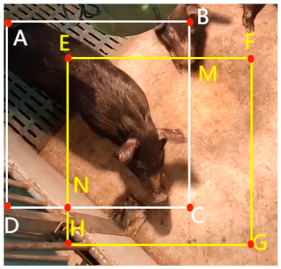 Detection of Pig Movement and Aggression Using Deep Learning Approaches