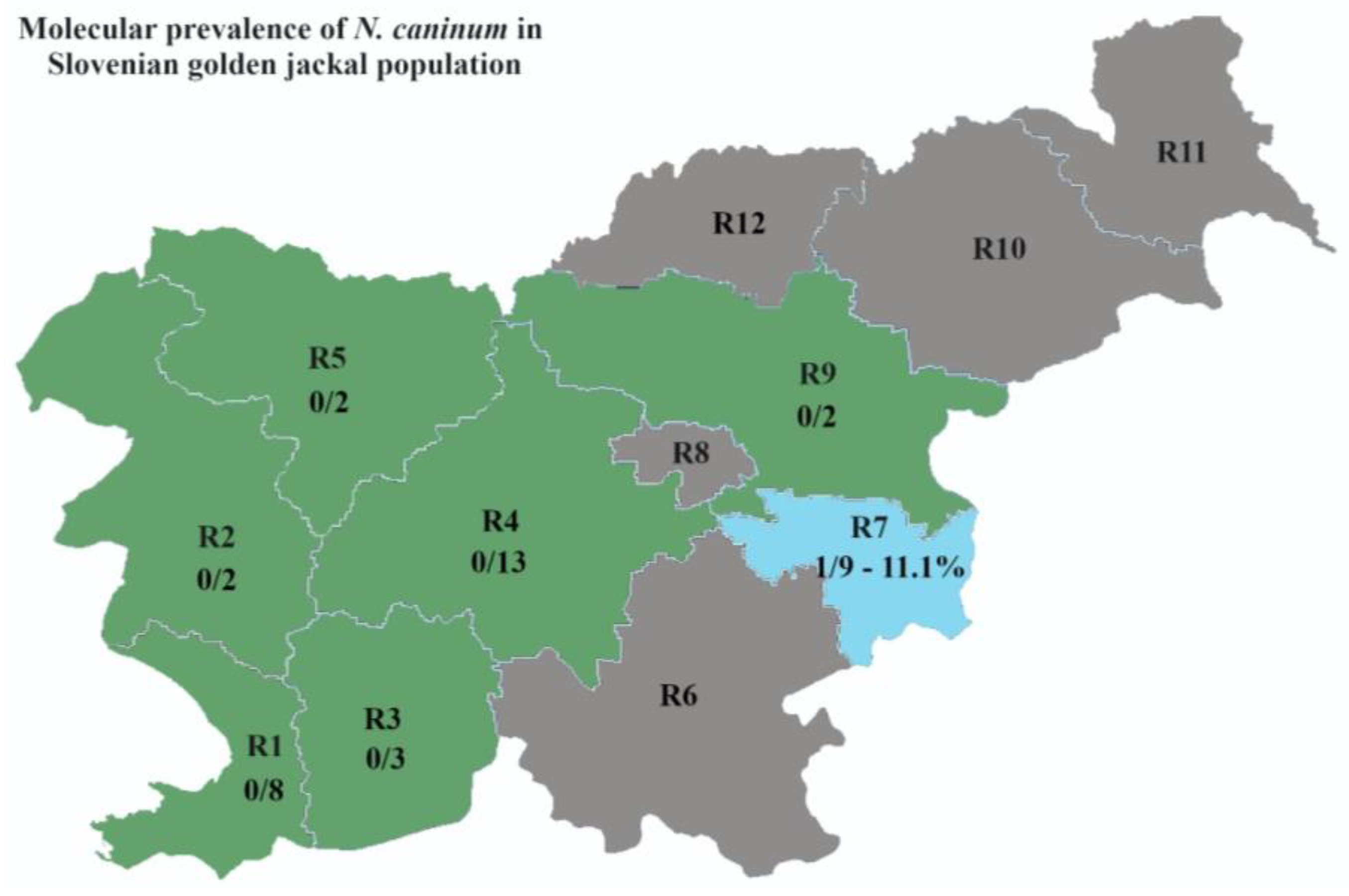First Molecular Detection of Neospora caninum in Feces of Grey Wolf ...