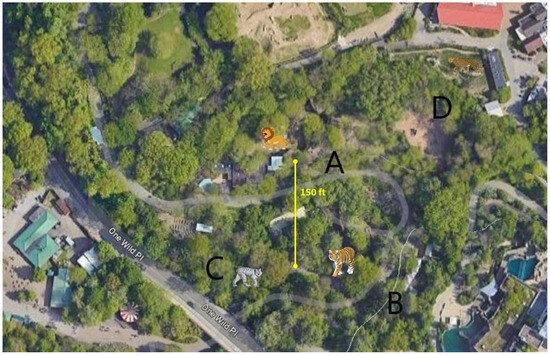 SARS-CoV-2 Infection Dynamics in the Pittsburgh Zoo Wild Felids with ...