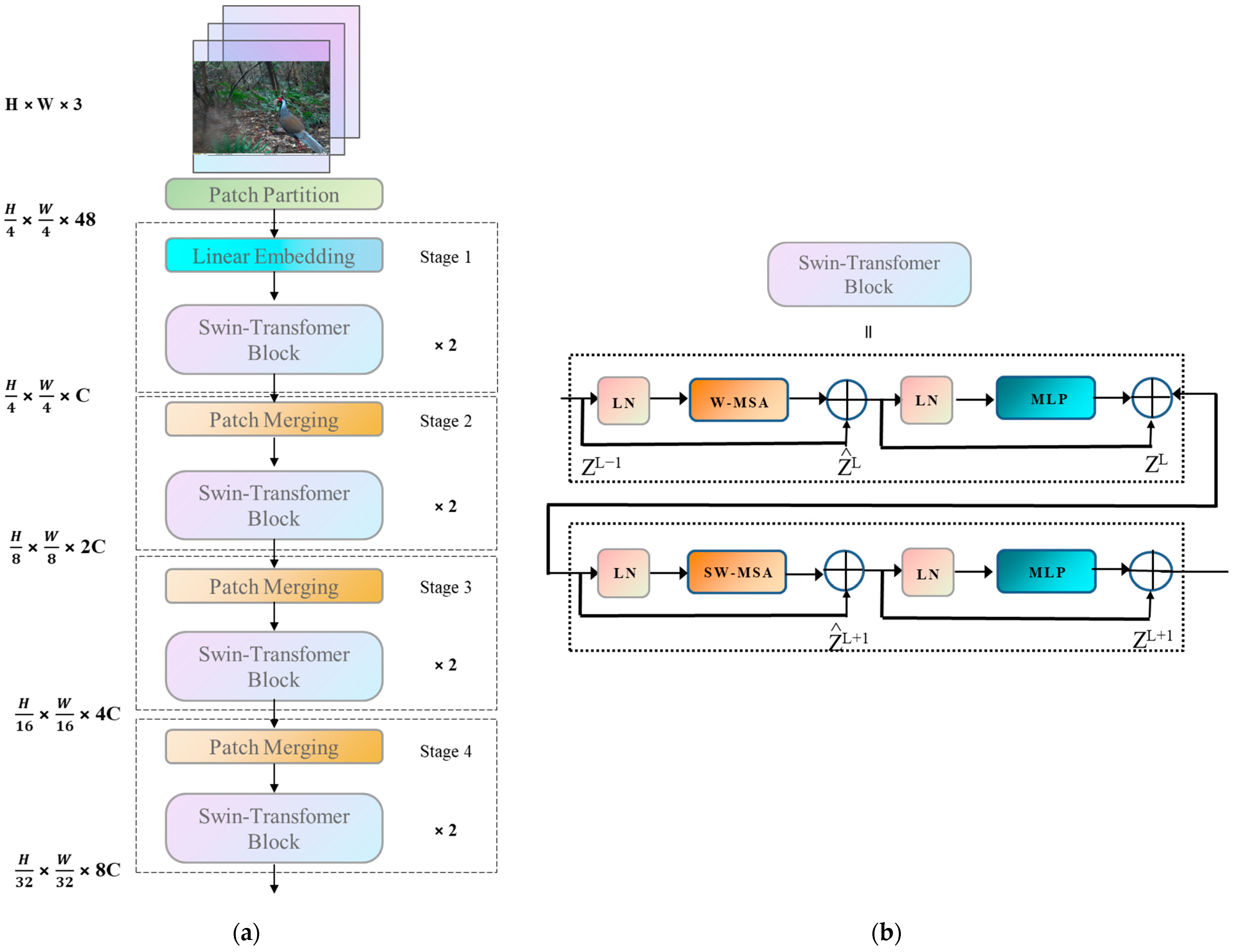 A Forest Wildlife Detection Algorithm Based on Improved YOLOv5s