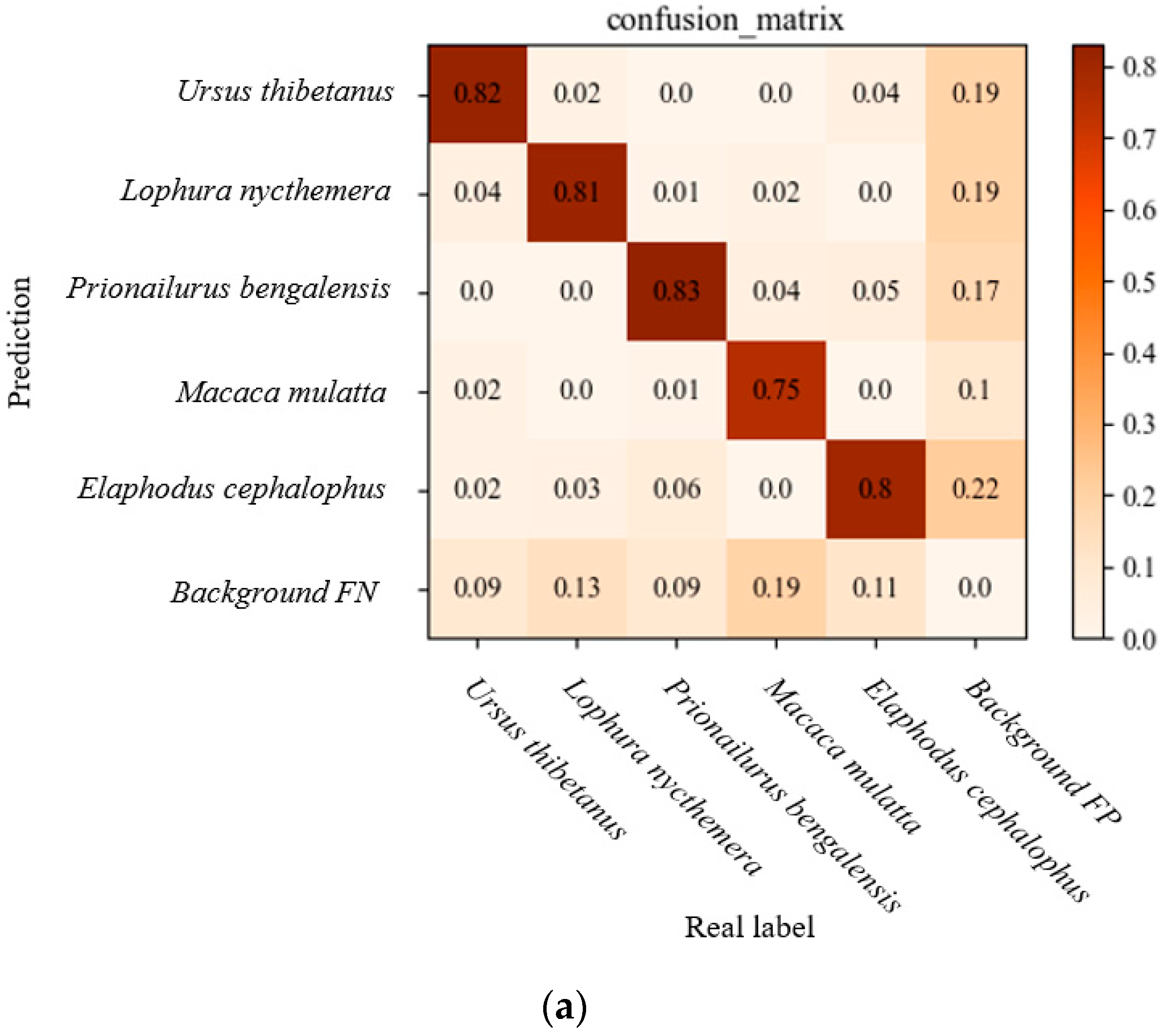 A Forest Wildlife Detection Algorithm Based on Improved YOLOv5s