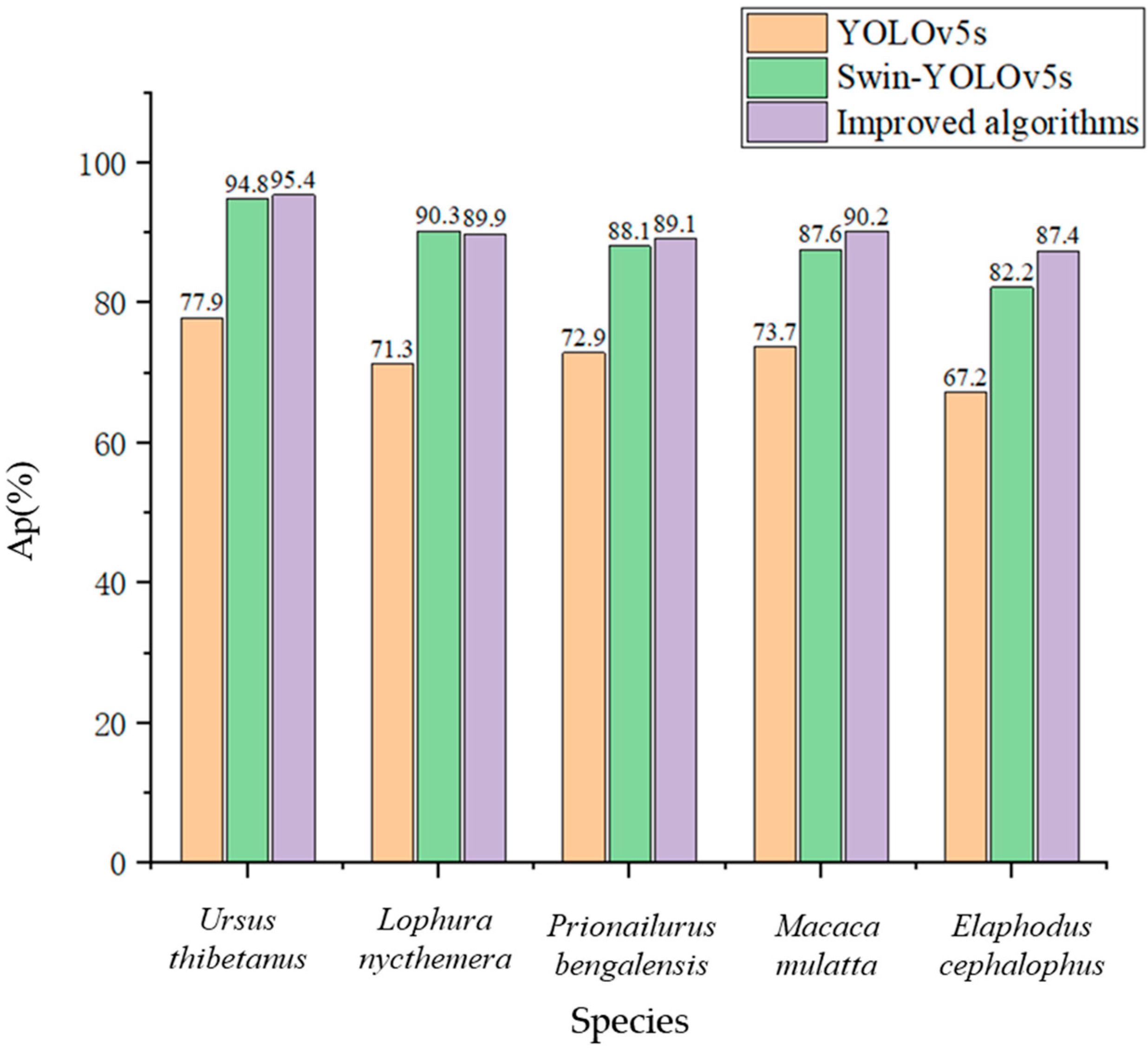 A Forest Wildlife Detection Algorithm Based on Improved YOLOv5s