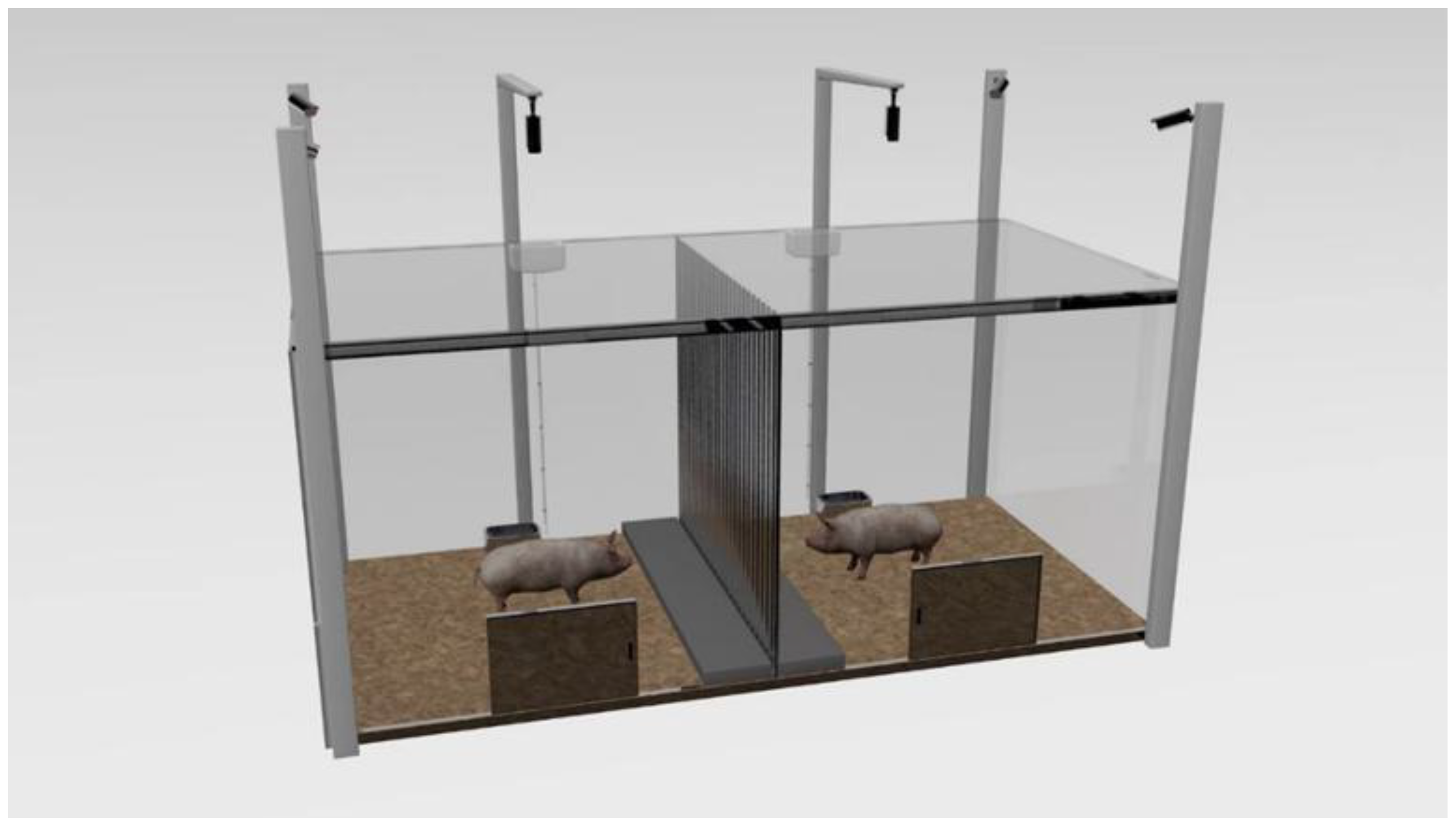 Emotional Contagion and Social Support in Pigs with the Negative Stimulus