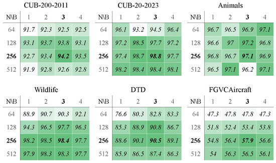 Monitoring Endangered and Rare Wildlife in the Field: A Foundation Deep ...