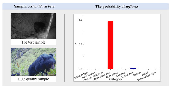 Monitoring Endangered and Rare Wildlife in the Field: A Foundation Deep ...