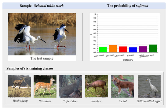 Monitoring Endangered and Rare Wildlife in the Field: A Foundation Deep ...