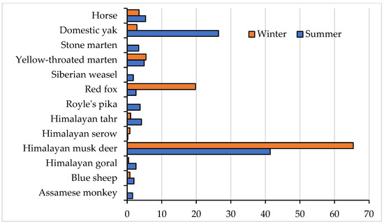 Seasonal Prey Abundance and Food Plasticity of the Vulnerable Snow ...