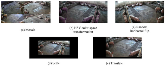 YOLOv5-SA-FC: A Novel Pig Detection and Counting Method Based on Shuffle Attention and Focal ...