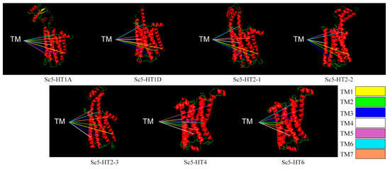 Genome-Wide Identification of 5-HT Receptor Gene Family in Razor Clam ...