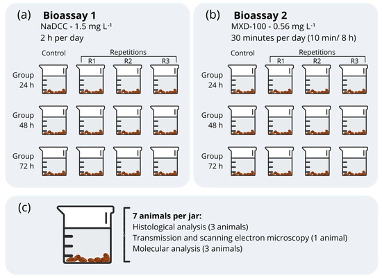 Acute Exposure to Two Biocides Causes Morphological and Molecular ...