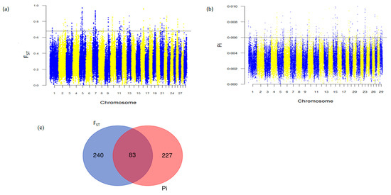 Whole-Genome Resequencing Reveals Selection Signatures of Abigar Cattle ...