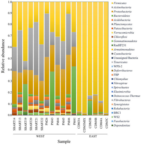 Wild Avian Gut Microbiome at a Small Spatial Scale: A Study from a ...