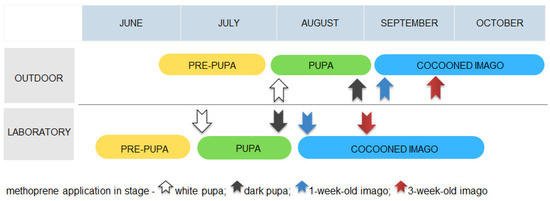 Animals | Free Full-Text | Methoprene, a Juvenile Hormone Analog ...