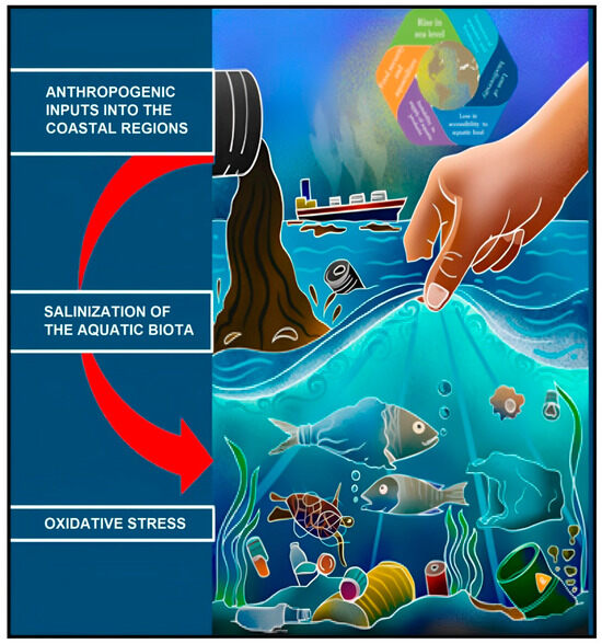 Captivating Colors, Crucial Roles: Astaxanthin’s Antioxidant Impact on ...