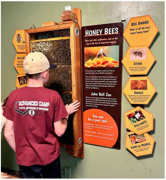 Aquatic and Terrestrial Invertebrate Welfare