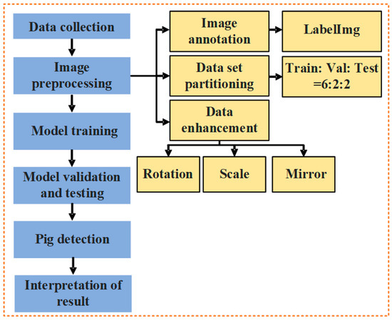 Animals | Free Full-Text | Pig Counting Algorithm Based on Improved YOLOv5n Model with ...