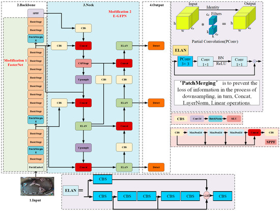 Animals | Free Full-Text | Pig Counting Algorithm Based on Improved YOLOv5n Model with ...