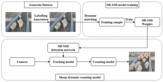 Lightweight Sheep Head Detection and Dynamic Counting Method Based on ...