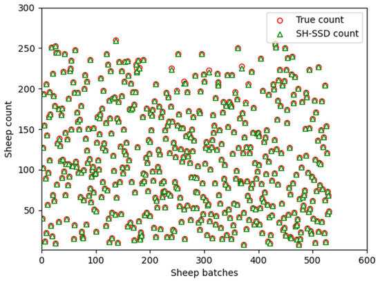 Lightweight Sheep Head Detection and Dynamic Counting Method Based on Neural Network