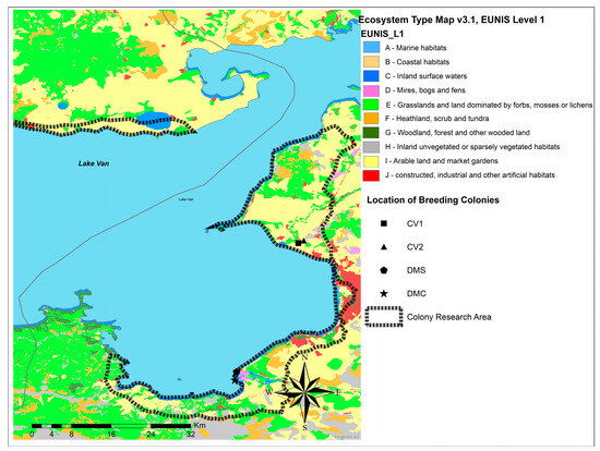 Sand-Related Factors Influencing Nest Burrowing Potential of the Sand ...