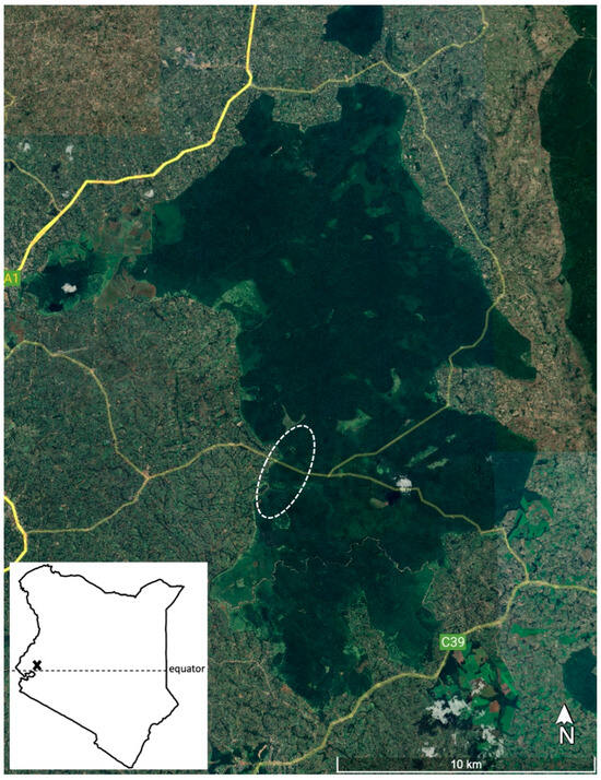 Local Voices: Perspectives from the Local Community on the Primates of ...