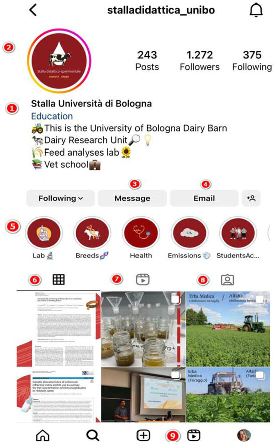 Reaching a Wider Audience: Instagram’s Role in Dairy Cow Nutrition ...