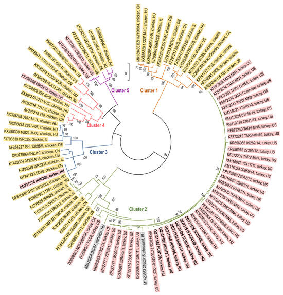 Animals | Free Full-Text | A Snapshot on the Genomic Epidemiology of ...