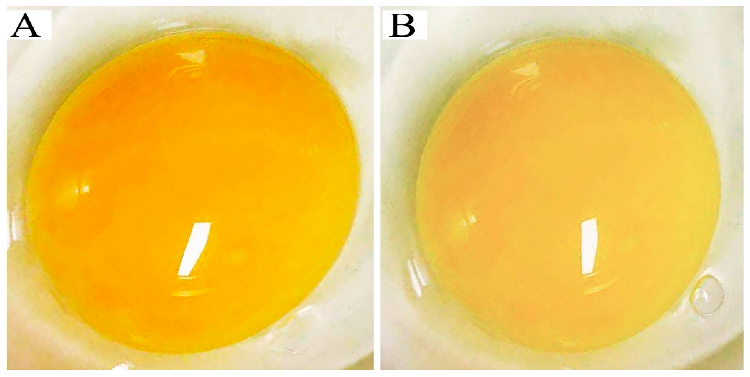 Animals | Free Full-Text | Effects and Mechanisms Investigation of Heat Stress on Egg Yolk ...